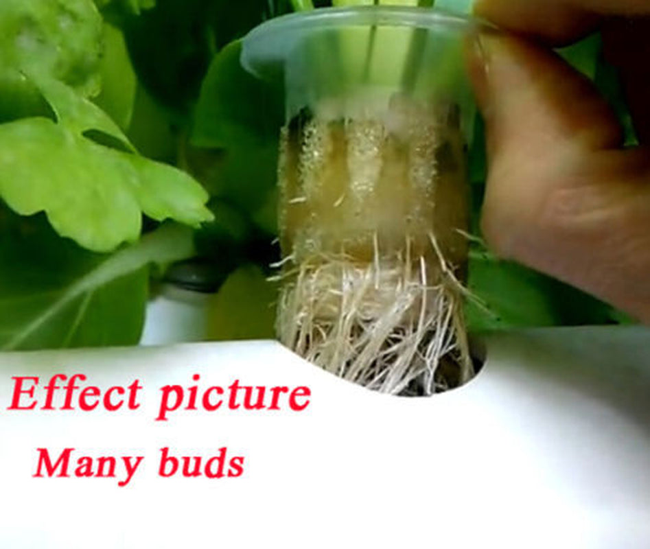 Hydroponic Grow Kit 36 Sites 4 Pipes 1 Layer Garden Plant Vegetable To