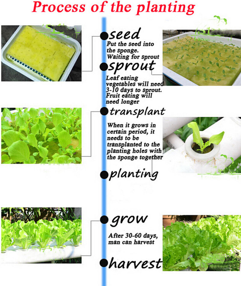 Hydroponic Grow Kit 36 Sites 4 Pipes 1 Layer Garden Plant Vegetable To